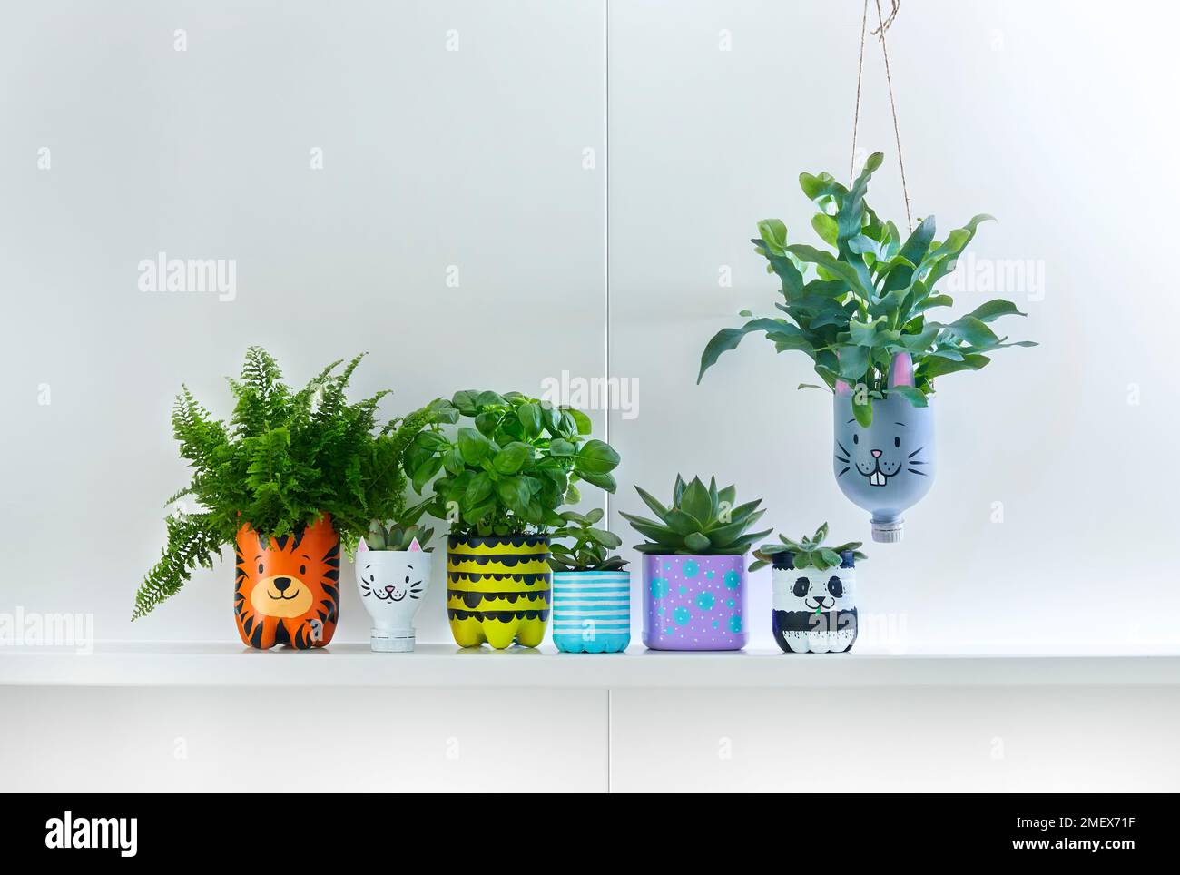 Bottle planters craft - Finished pots with plants Stock Photo - Alamy