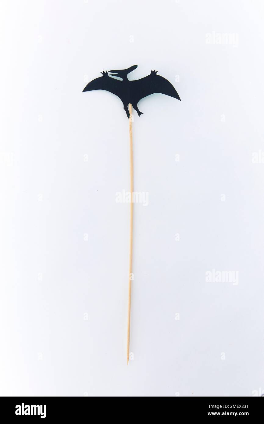 Shadow puppet theatre project - Pterodactyl shadow puppet Stock Photo ...