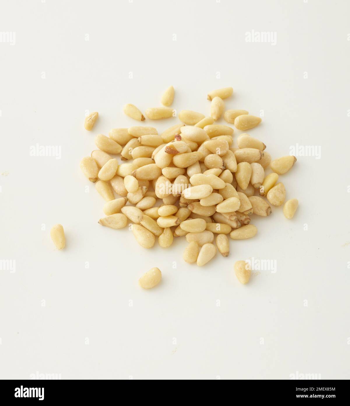 Fat pine hi-res stock photography and images - Alamy