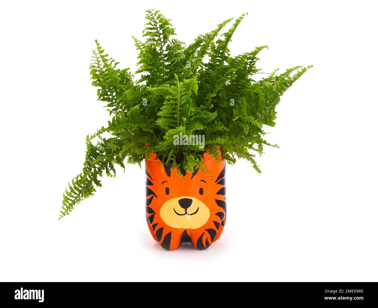 Bottle planters craft - Finished pots with plants - Tiger pot with fern ...