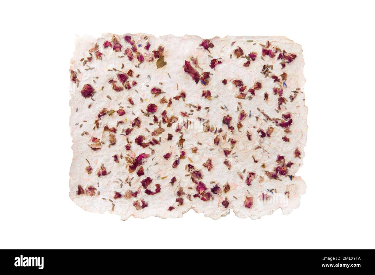 Homemade paper project - Dried flower petals Stock Photo - Alamy