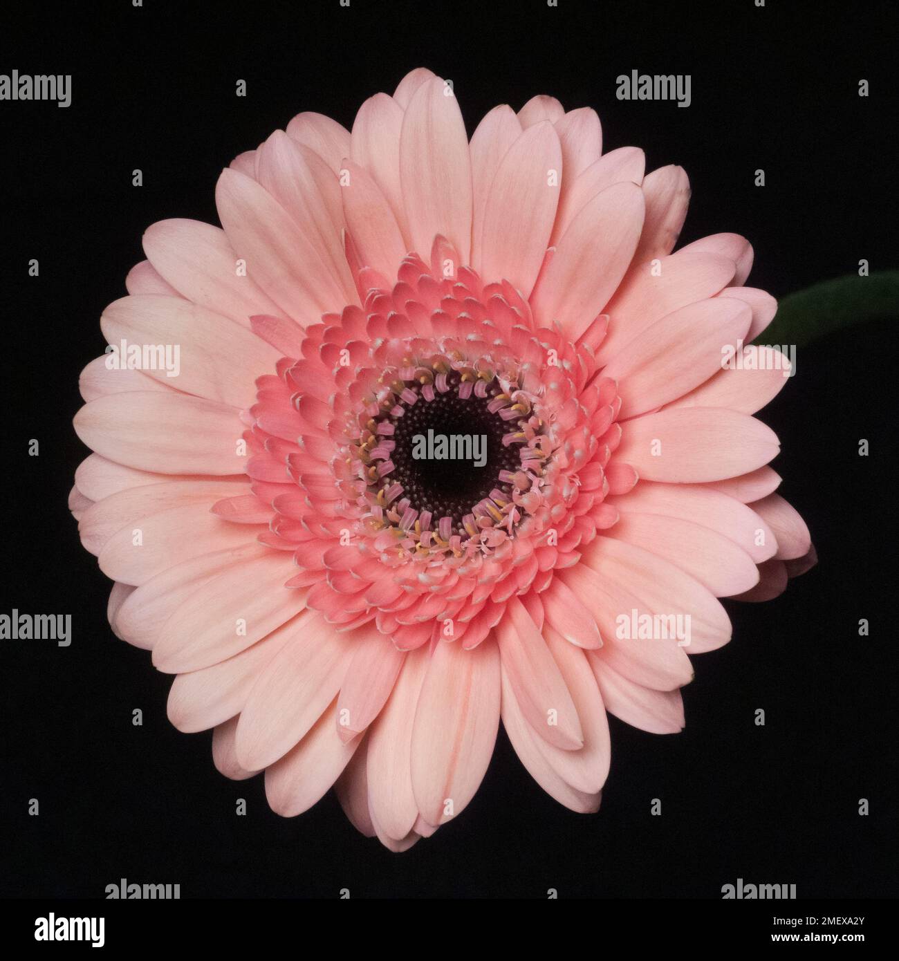 400 iso hi-res stock photography and images - Alamy