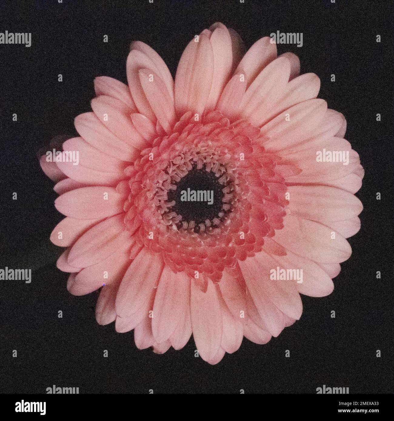 Iso image image hi-res stock photography and images - Alamy