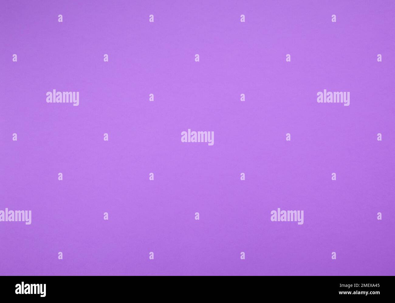 Colour card background - Lilac Stock Photo - Alamy