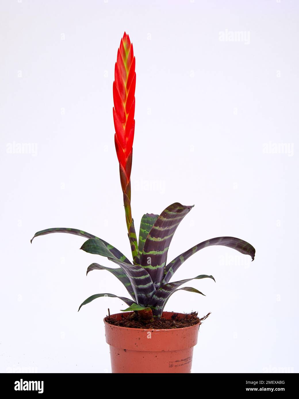 Flaming sword hi-res stock photography and images - Alamy