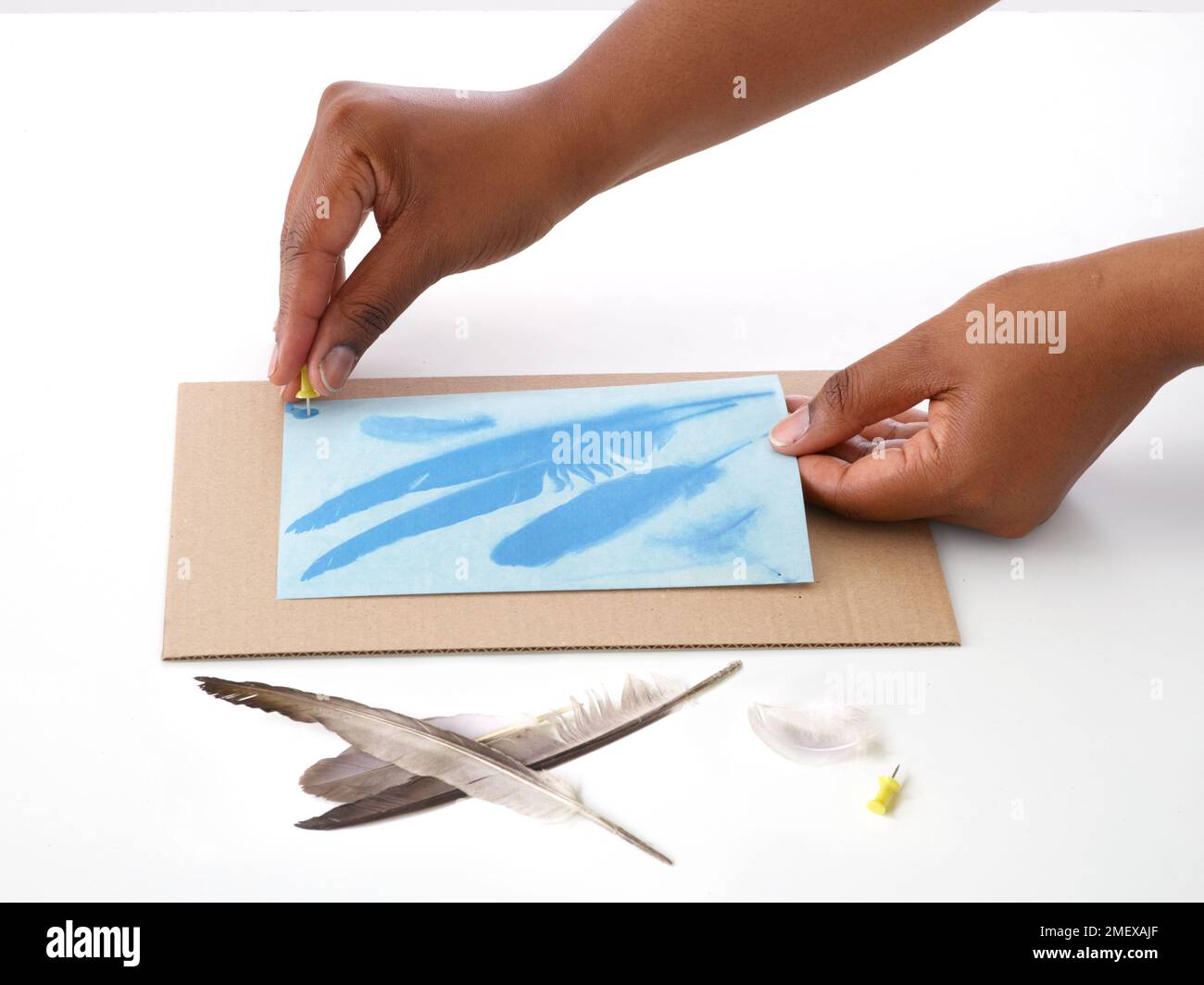 Making Sun prints step by step Stock Photo - Alamy