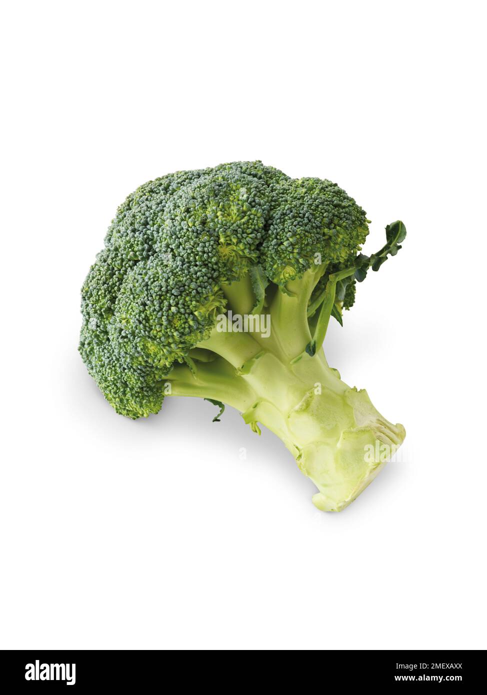 Image of broccoli hi-res stock photography and images - Alamy