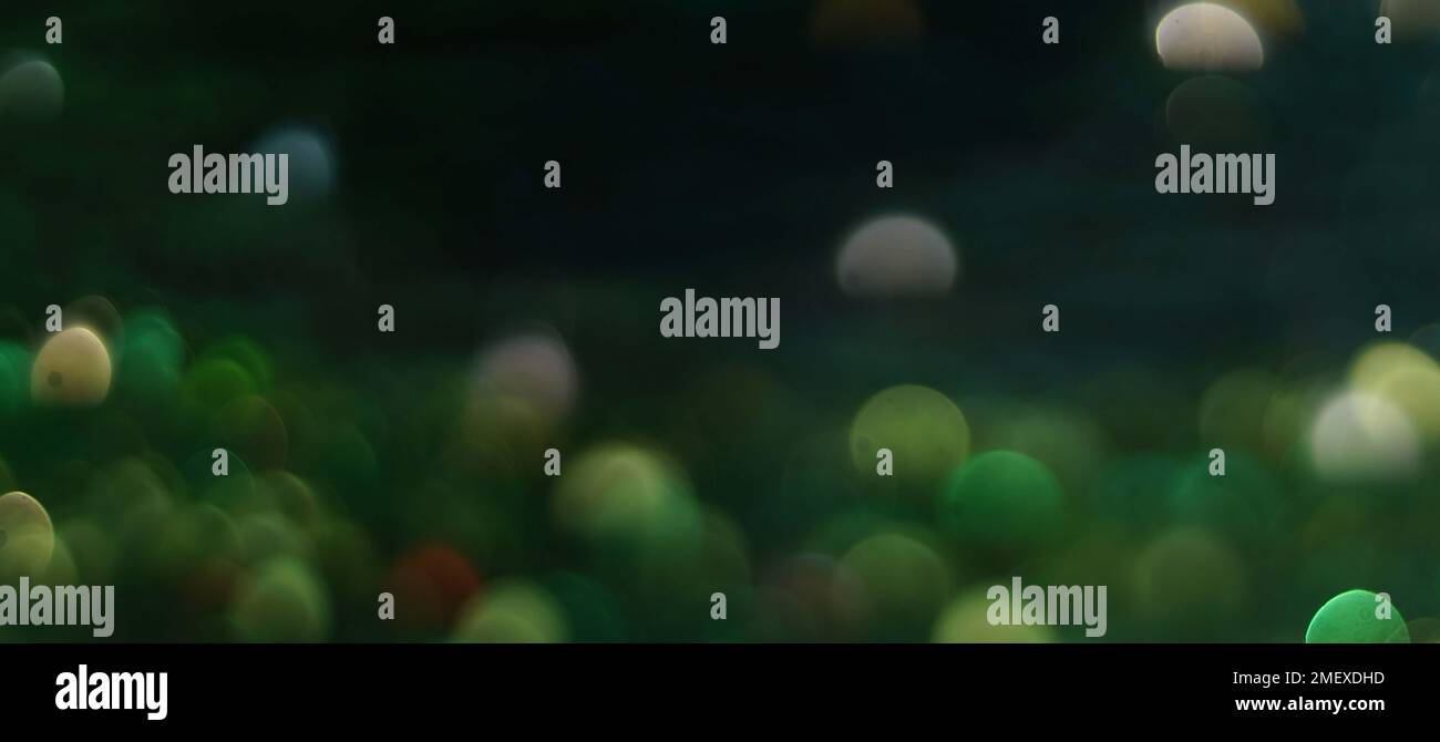 White coral in aquarium bubbles hi-res stock photography and images - Alamy