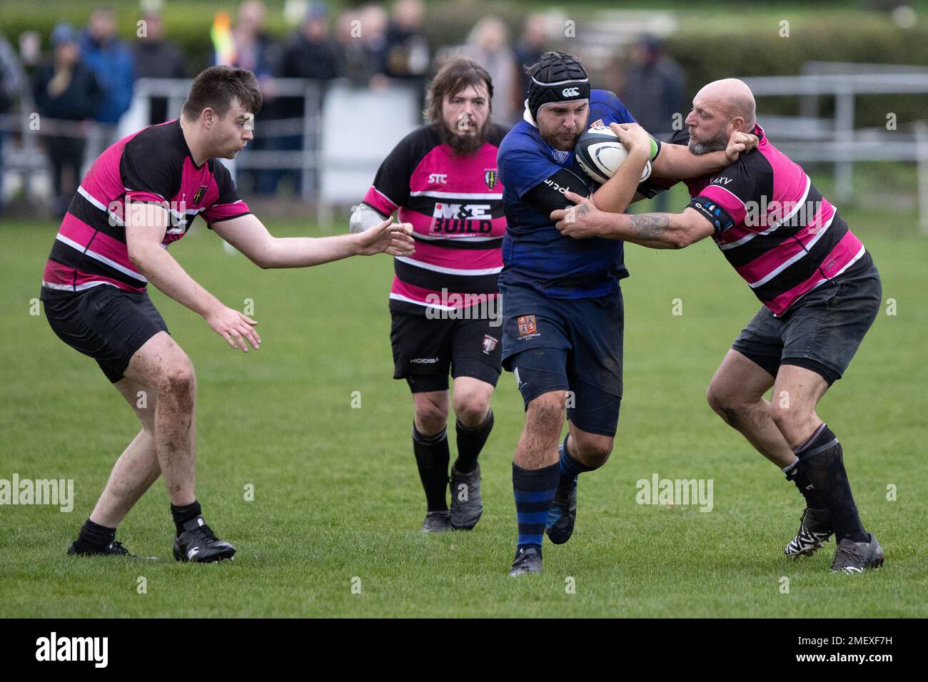 Rugby match, rugby game, rugby player, rugby scrum, rugby tackle, rugby ...