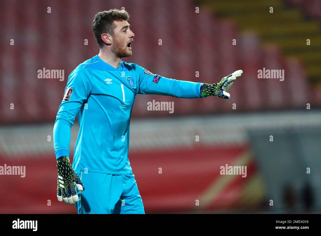 Ireland's goalkeeper Mark Travers gestures during the World Cup 2022 ...