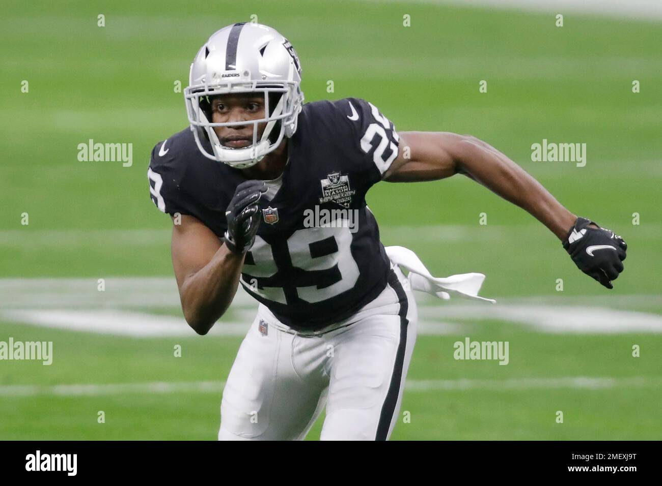 FILE - Las Vegas Raiders free safety Lamarcus Joyner (29) plays against ...