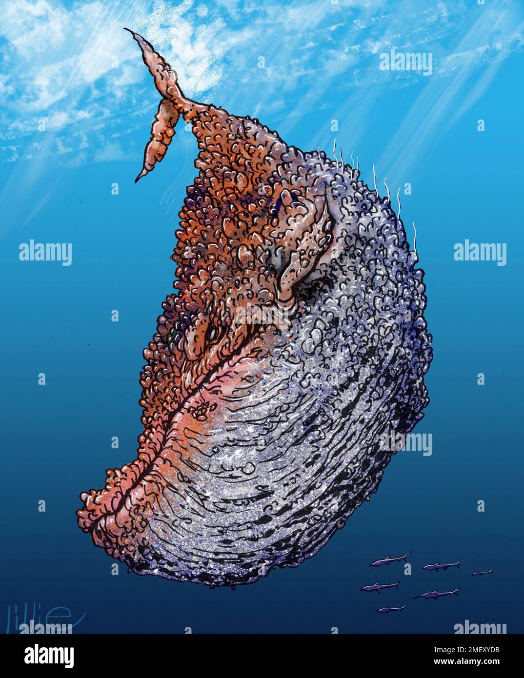 Art of mythological legendary skeljúngur /skeljungur, or shell whale ...