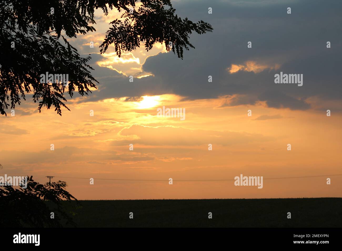 A silhouette of the tree branches against a clouded sky at sunset Stock ...