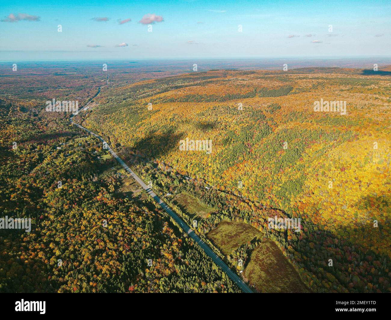 A beautiful view of a road in the middle of autumn forest with large ...
