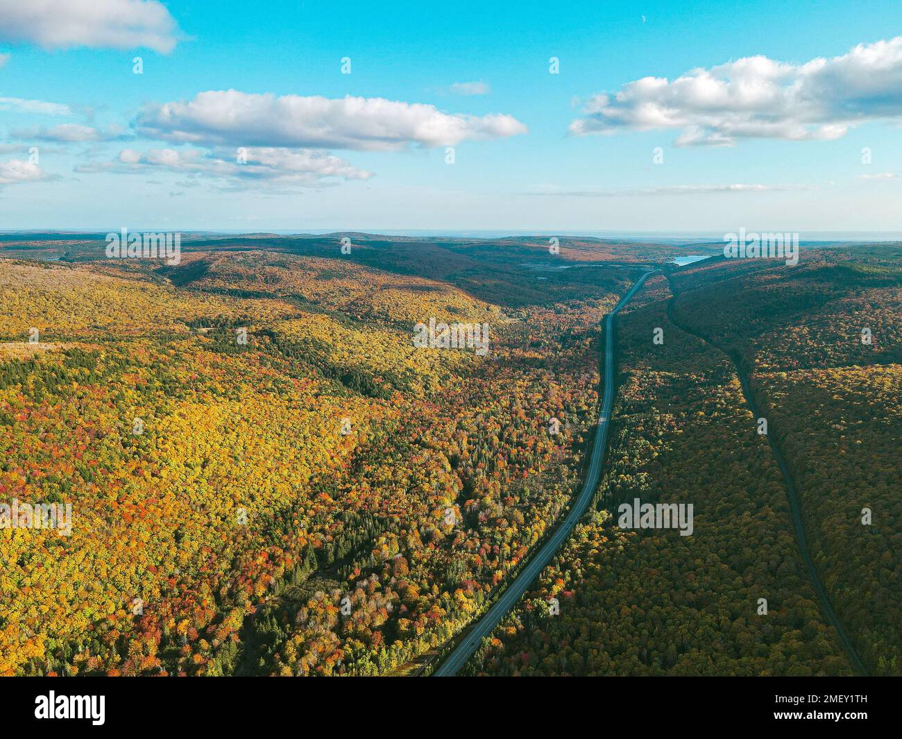 A beautiful view of a road in the middle of autumn forest with large ...