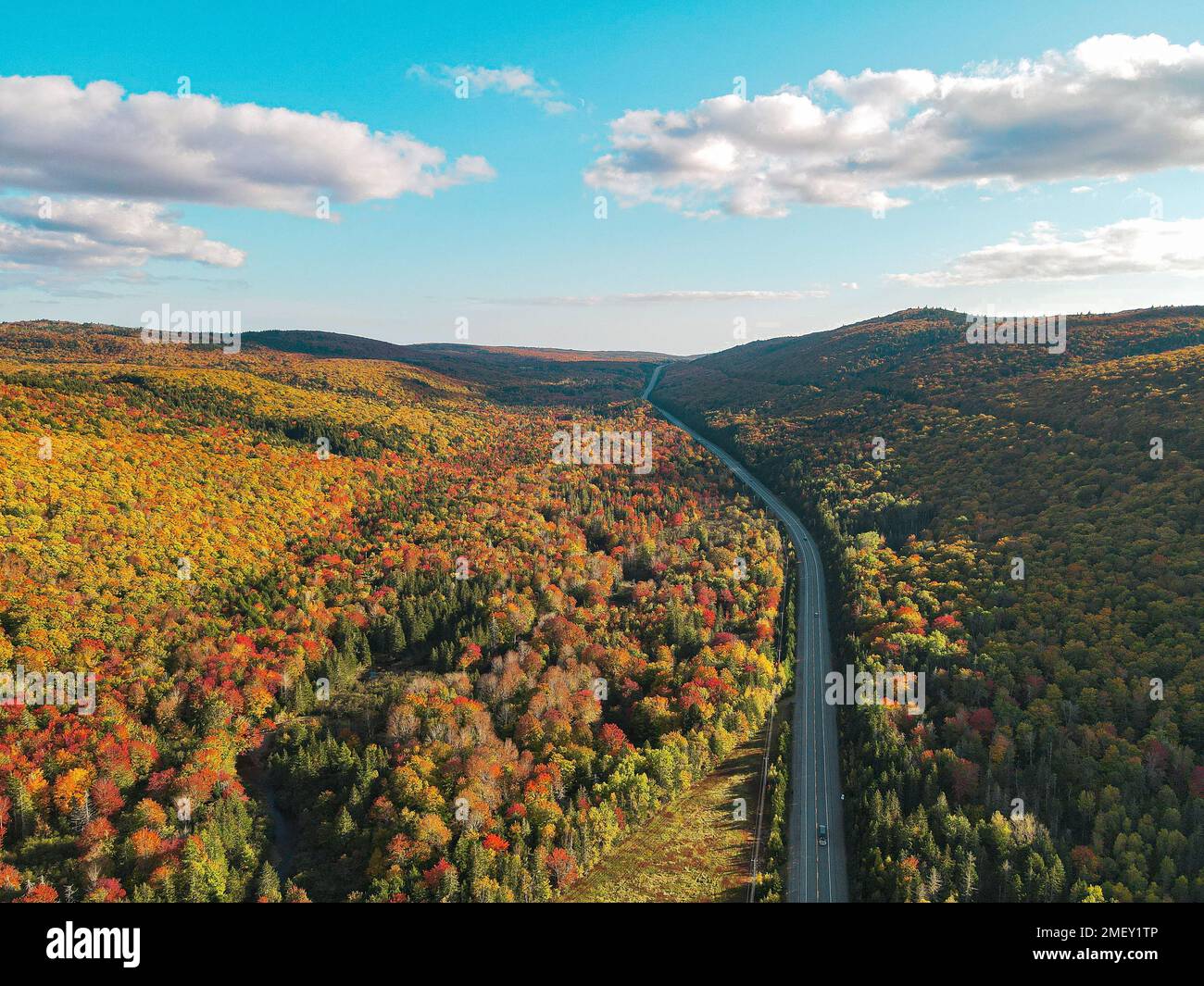 A beautiful view of a road in the middle of autumn forest with large ...
