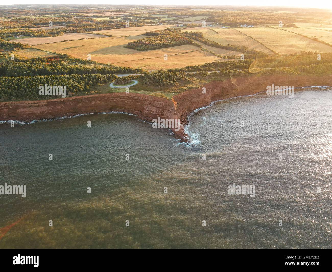 A beautiful view of a forest on a cliff with calm sea under the blue ...