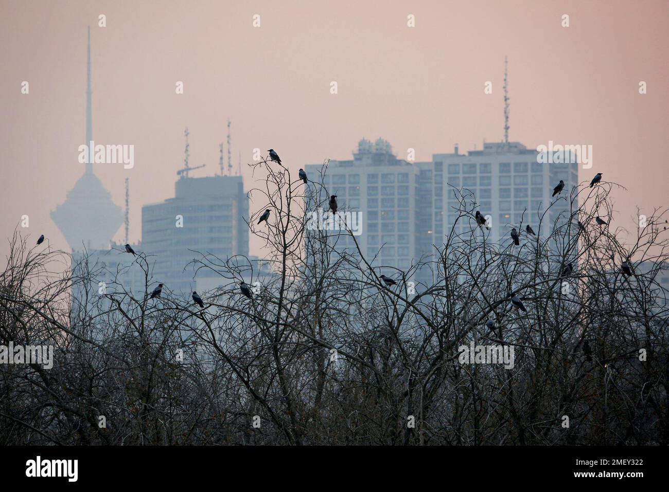 A general view of the city turning gray due to the high levels of air ...