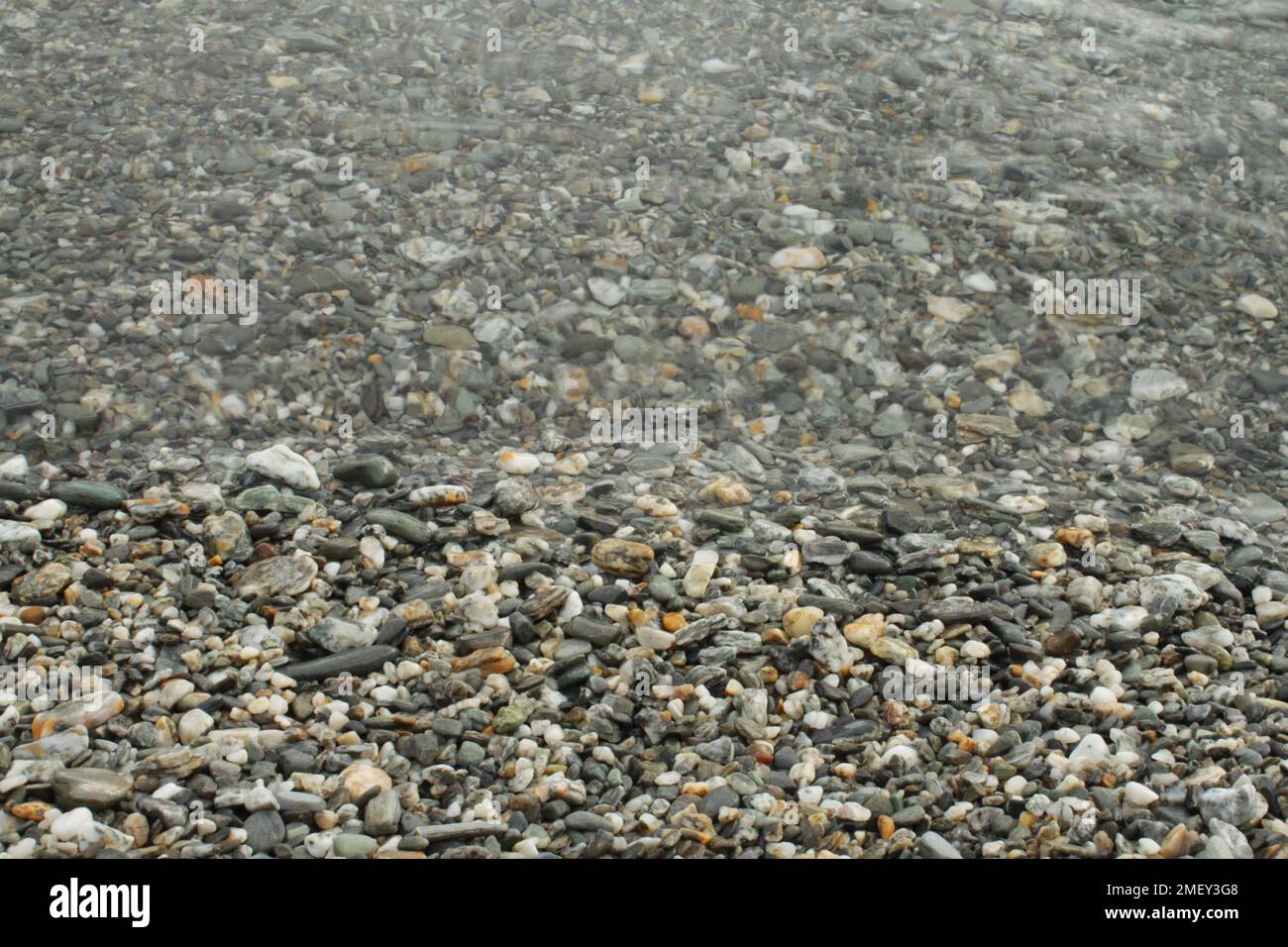 The shallow water with pebbles. Milford Sound, New Zealand Stock Photo ...