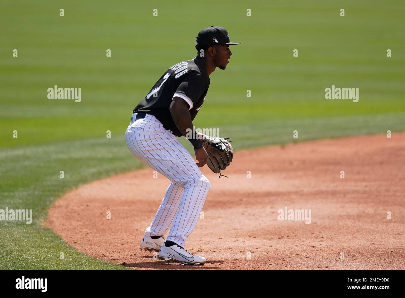 Chicago White Sox shortstop Tim Anderson waits for a pitch during the ...