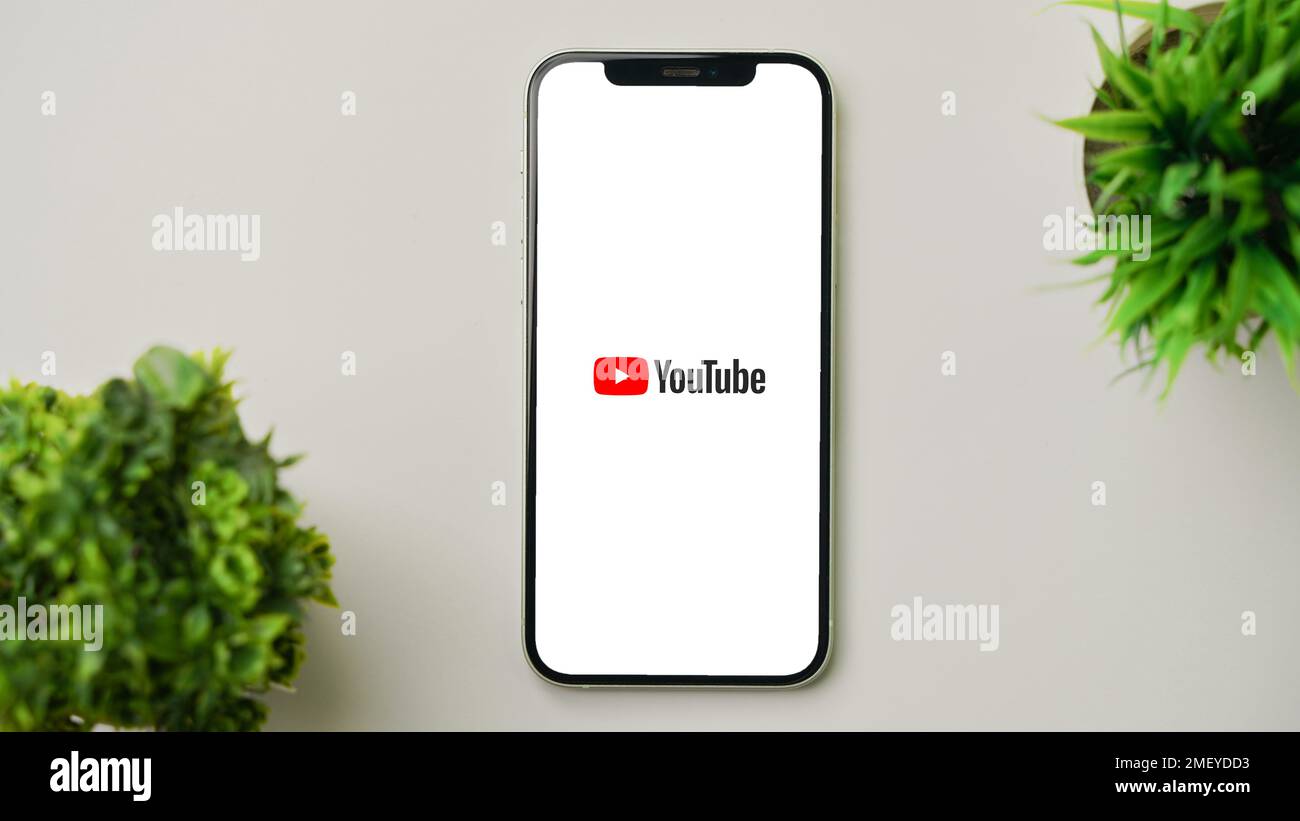 YouTube is a global online video-sharing and social media platform ...