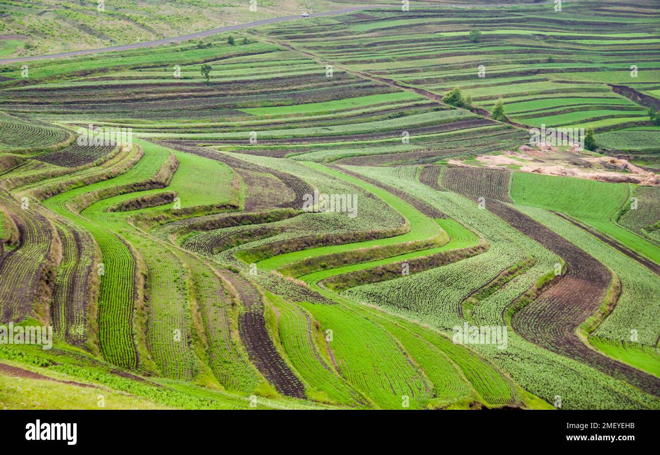 An aerial view of a beautiful hill of farming on rice Stock Photo - Alamy