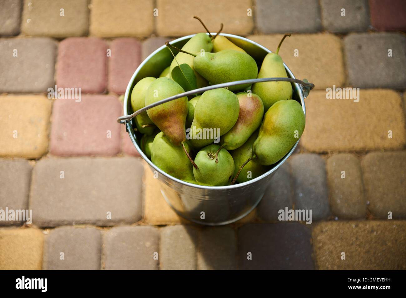 Top view of a metal galvanized bucket full of fresh ripe harvested ...