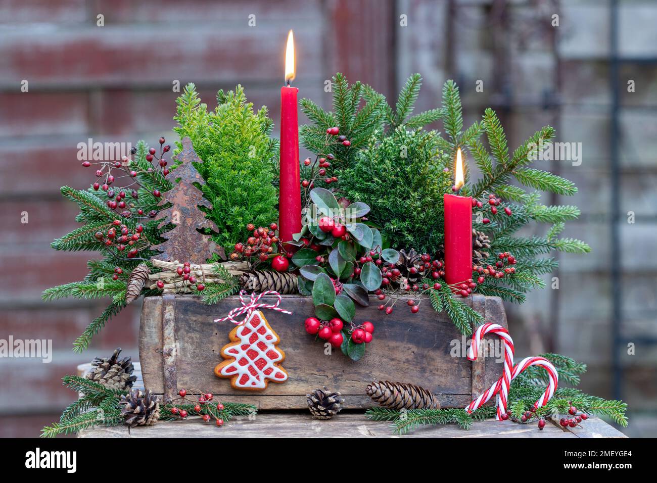 red candles, coniferous and gaultheria in old brick mould as christmas ...