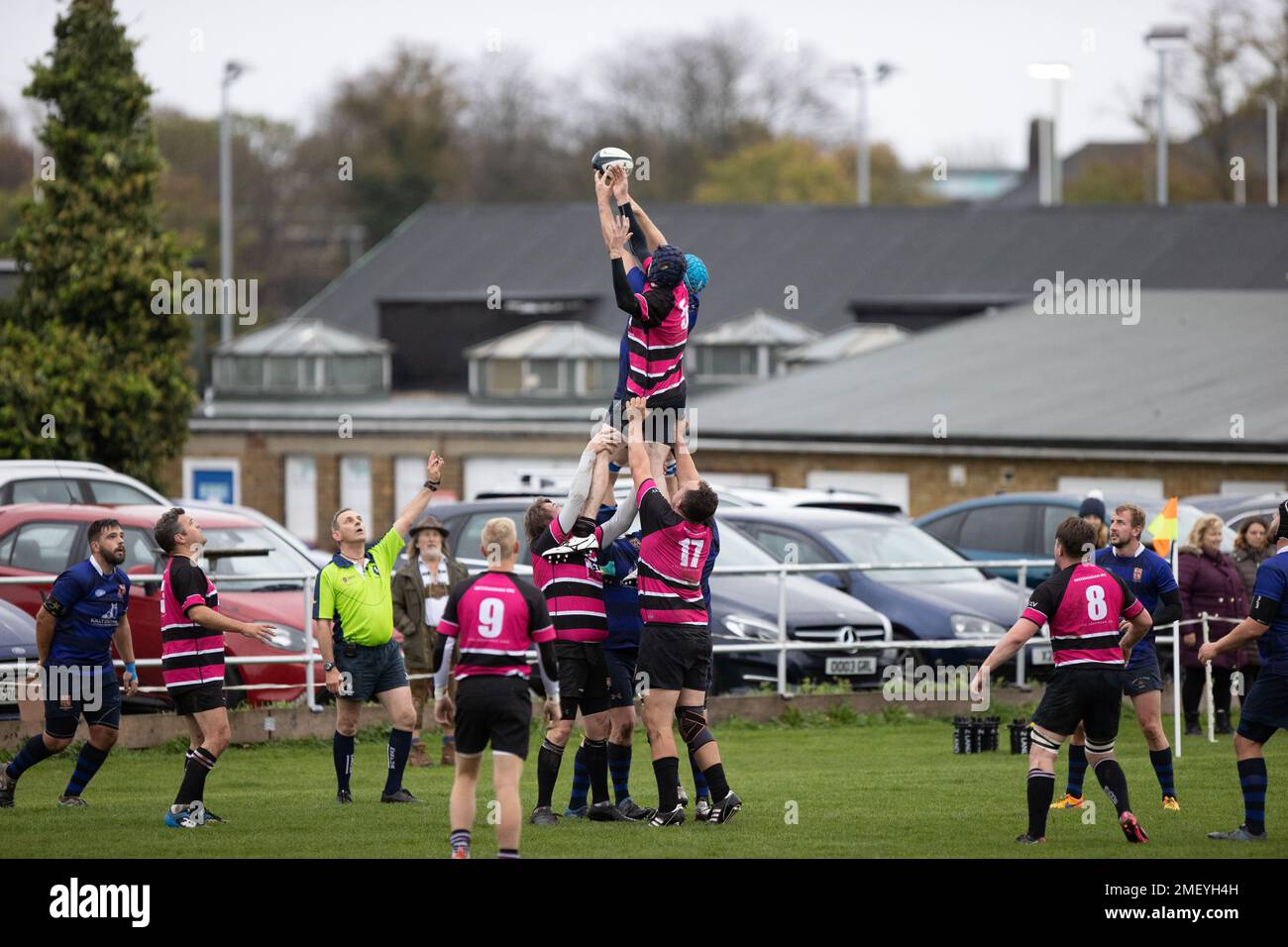 Rugby match, rugby game, rugby player, rugby scrum, rugby tackle, rugby ...