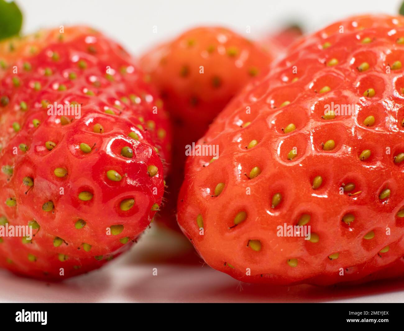 Ripe strawberries. Strawberries close up. Red strawberry. Macro photo ...