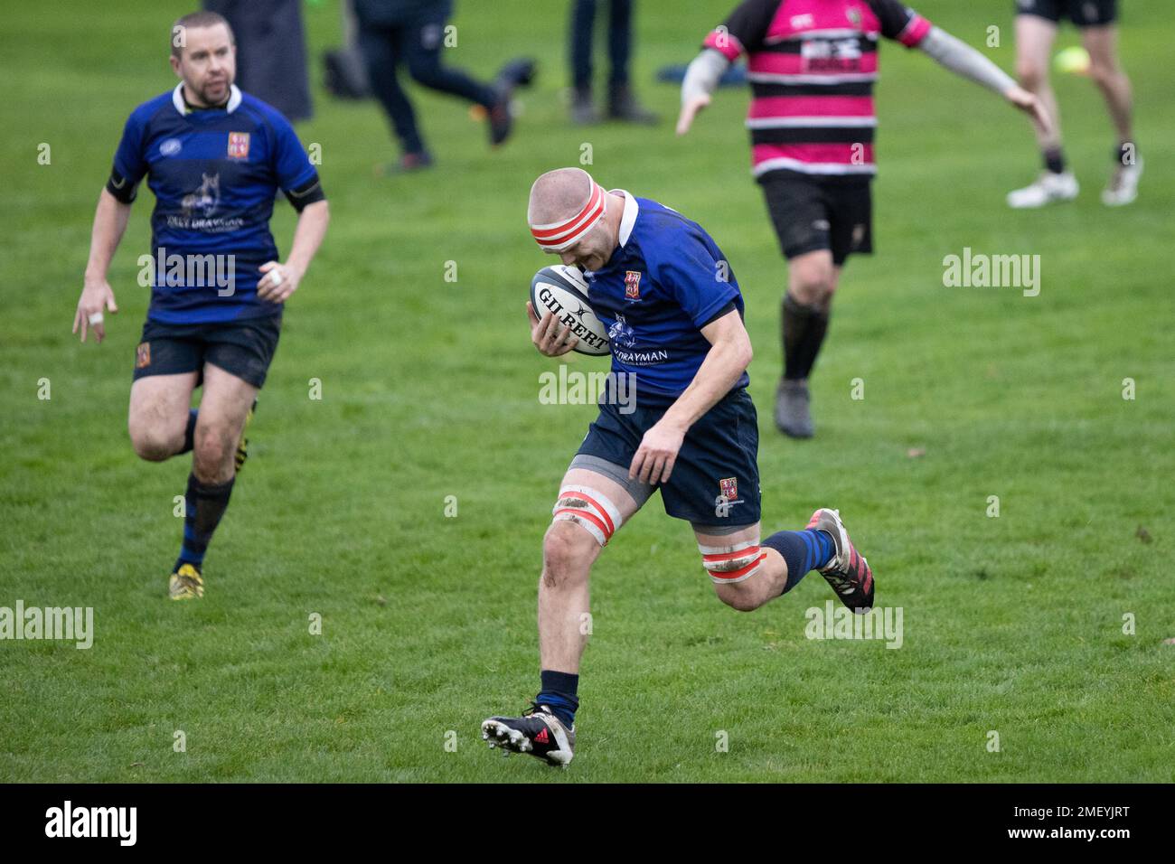 Rugby match, rugby game, rugby player, rugby scrum, rugby tackle, rugby ...