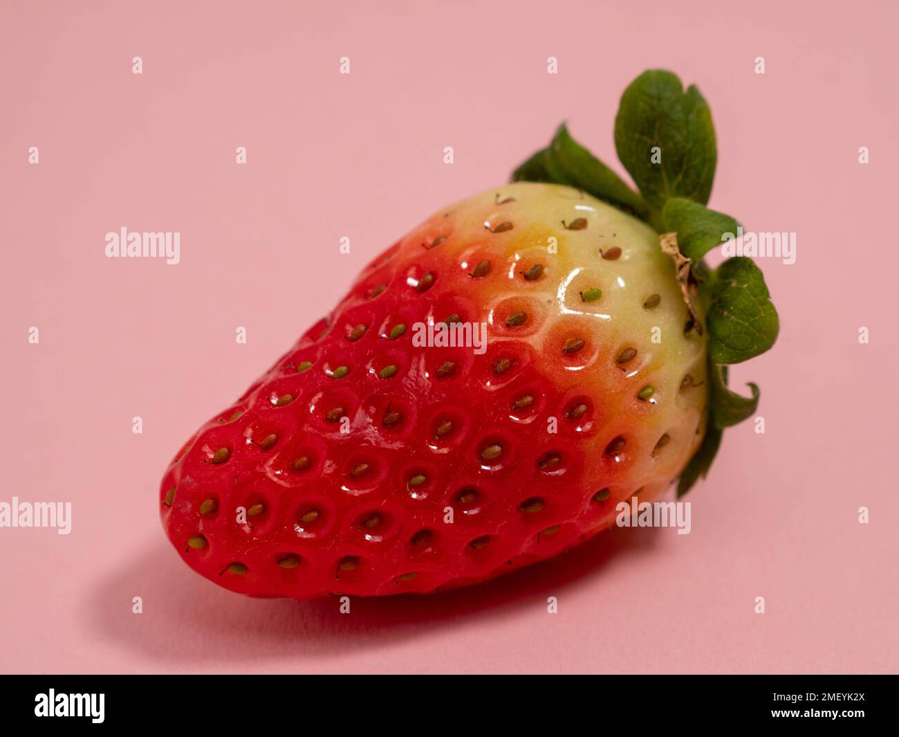 Ripe strawberries on a pink background. Strawberries close up. Red ...
