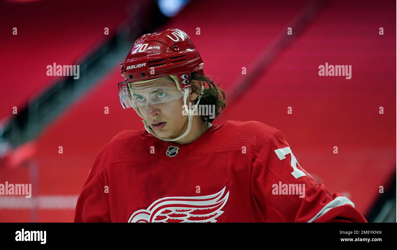 Detroit Red Wings defenseman Troy Stecher plays during the third period ...