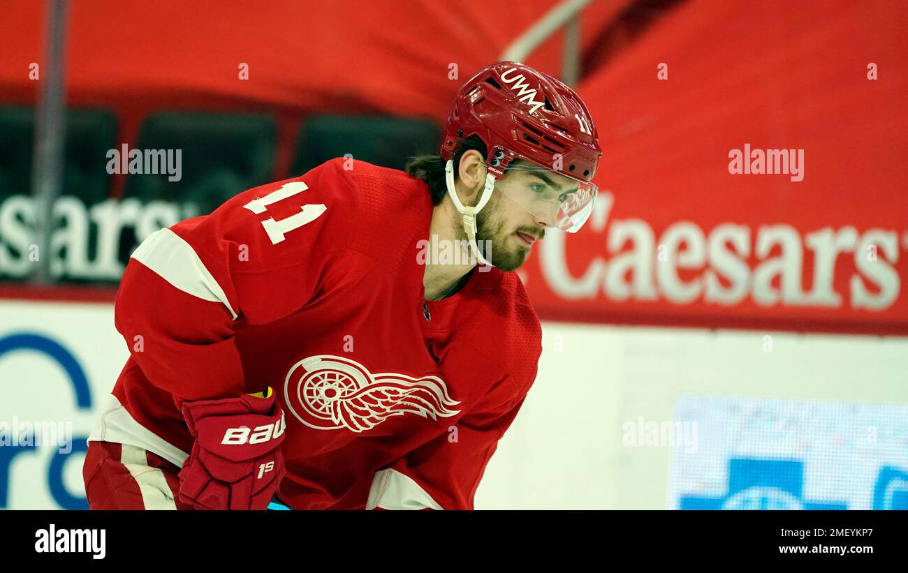 Detroit Red Wings right wing Filip Zadina plays during the third period ...
