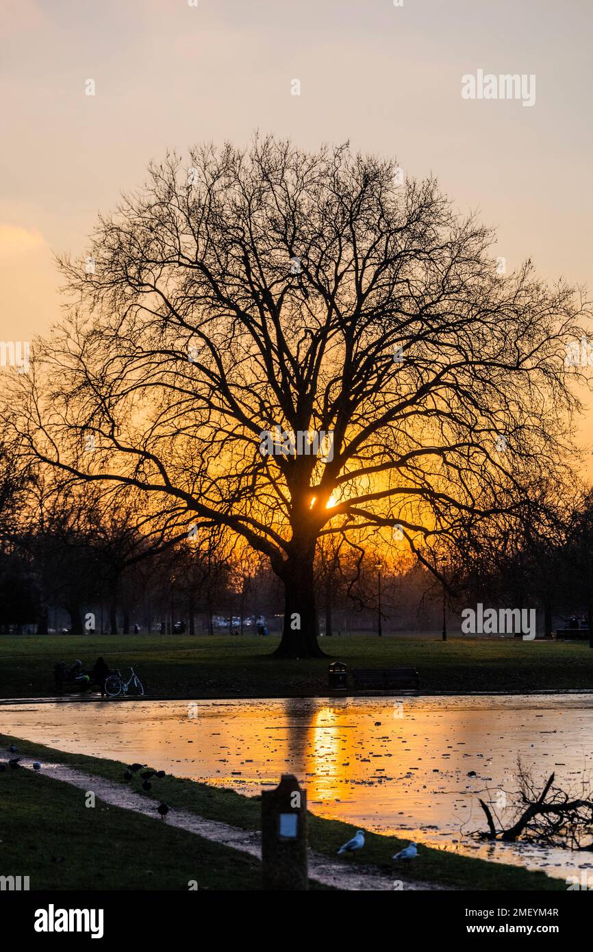 London, UK. 24th Jan, 2023. The Sun sets on a frozen Clapham Common ...