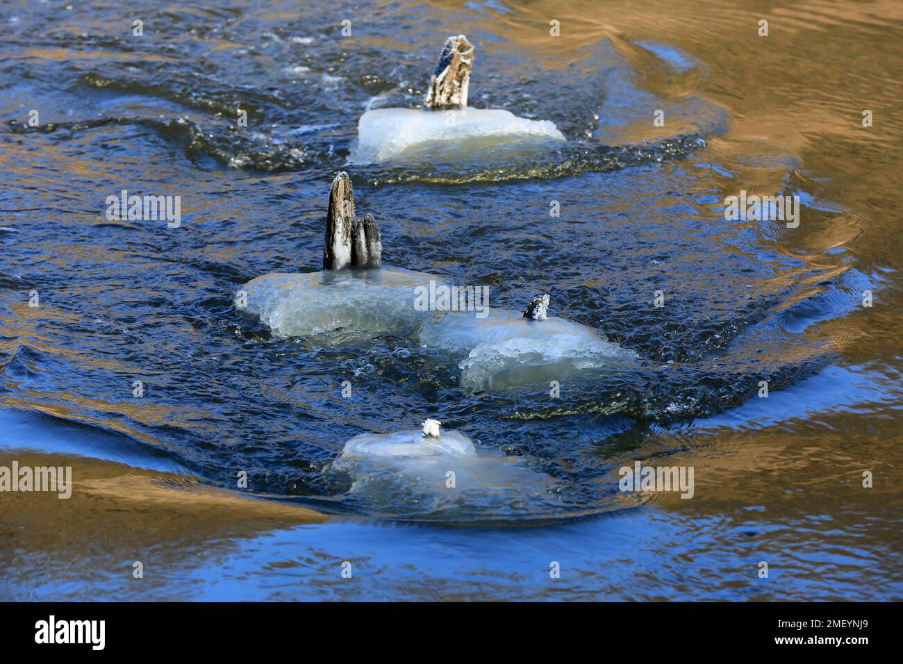 frozen wooden branches in cold river water Stock Photo - Alamy