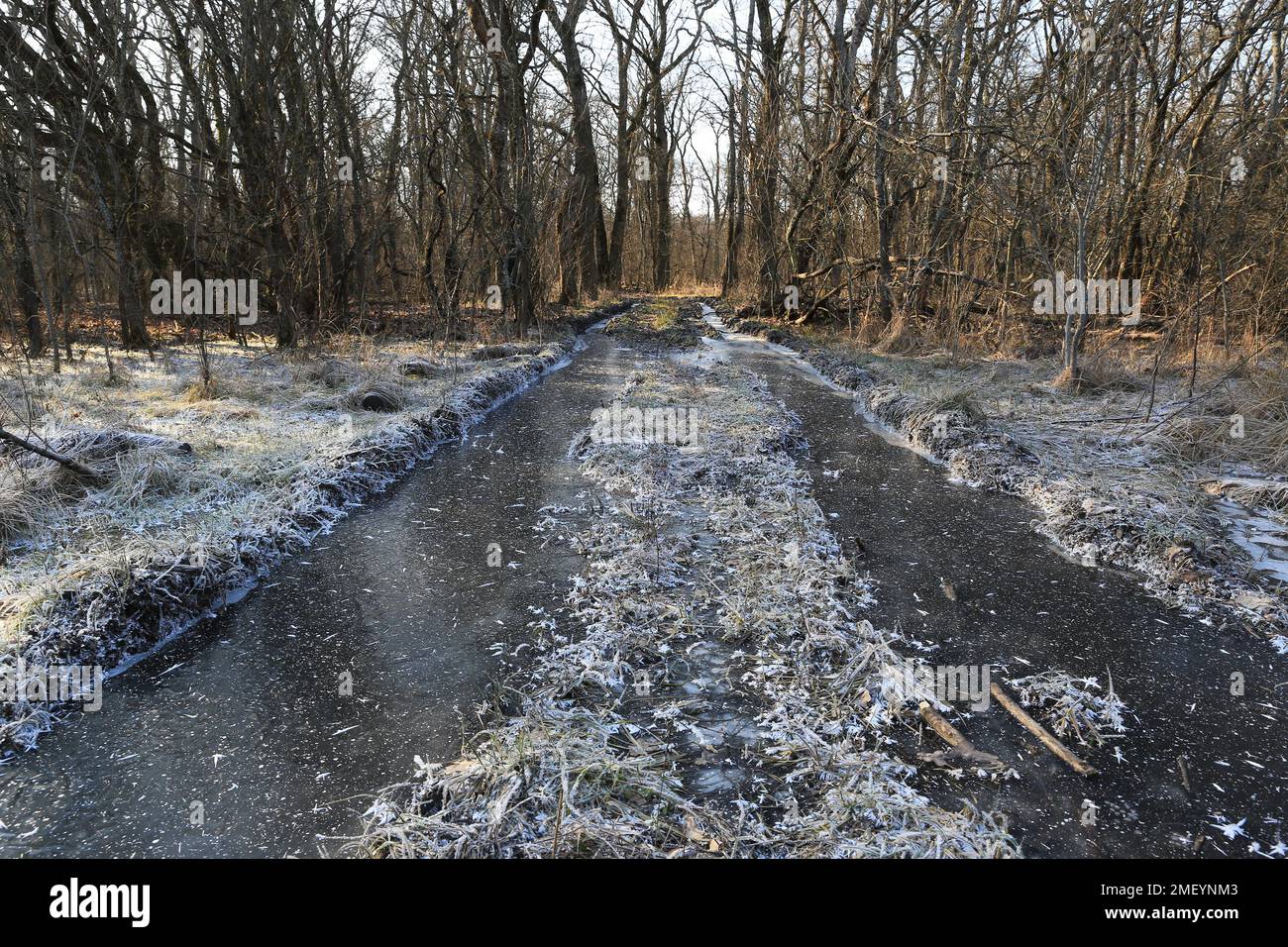 Icy puddle on country track hi-res stock photography and images - Alamy