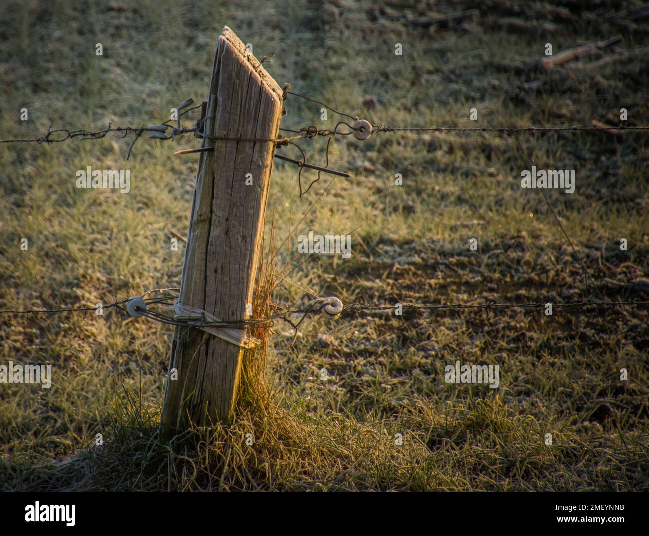 An old fence post with barbed wire in a field during the day Stock ...