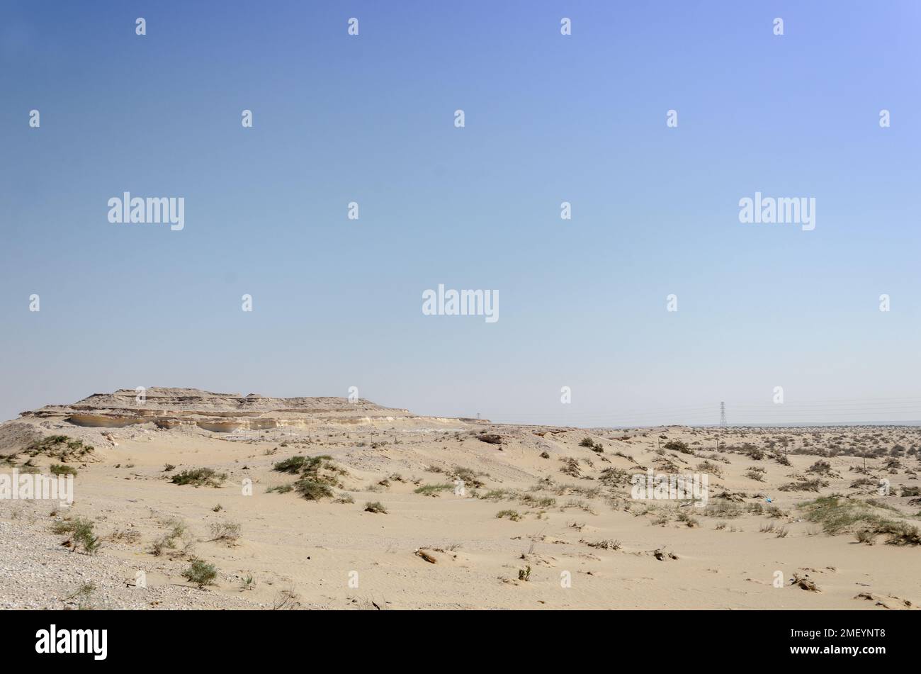 Desert landscape with limestone hillocks in the background, Qatar Stock ...