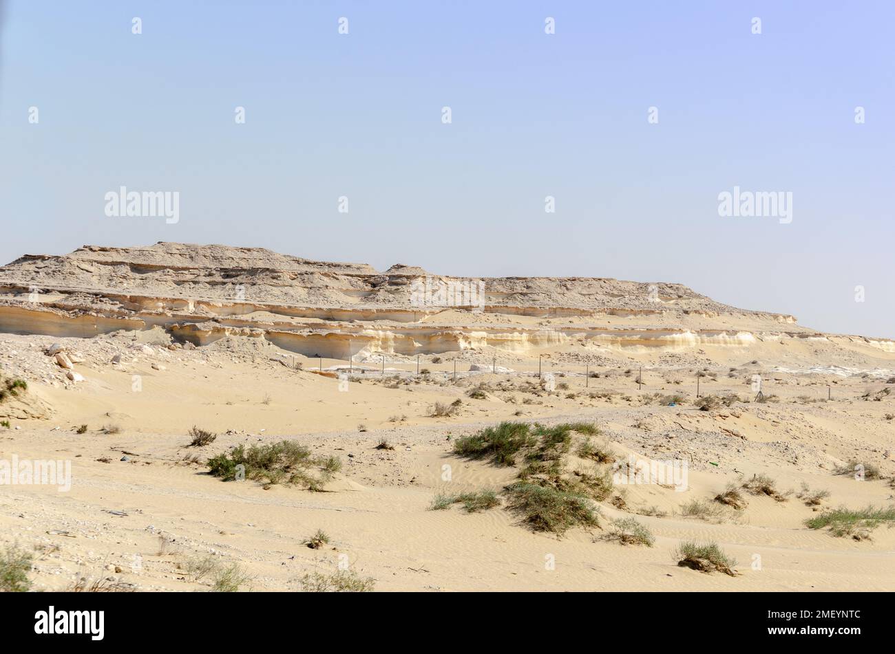 Desert landscape with limestone hillocks in the background, Qatar Stock ...