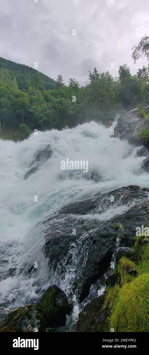 A vertical closeup of foamy water of a river flowing in a forest Stock ...