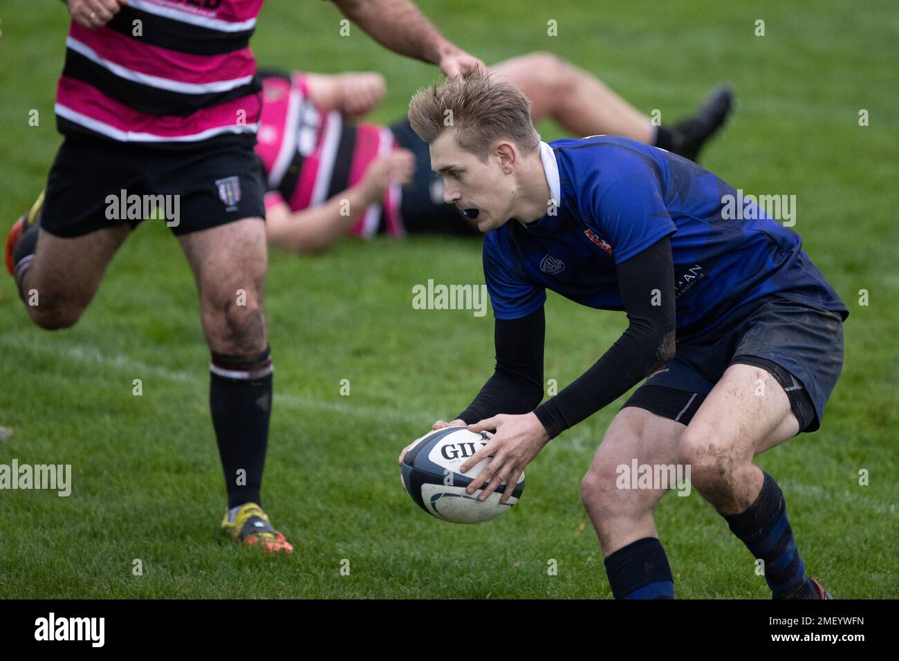 Rugby match, rugby game, rugby player, rugby scrum, rugby tackle, rugby ...