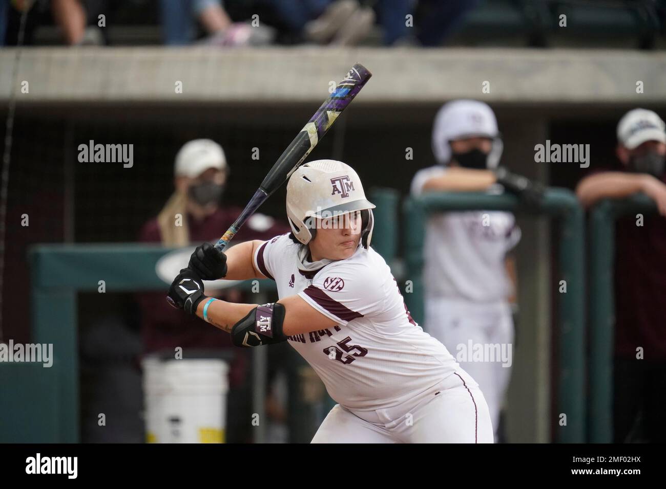 Texas A&M catcher Haley Lee (25) awaits the pitch while batting during ...