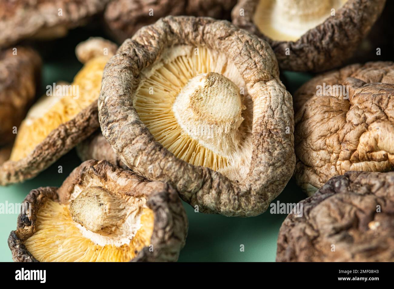 a Bunch of dried shiitake mushrooms against green background Stock ...