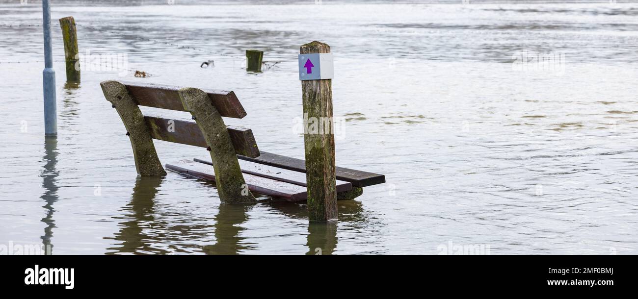 Wooden bench in flooded area near ferry pond Olsterveer at crossing ...