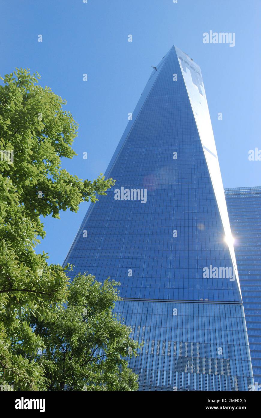 Looking through foliage up to the One World Trade Center at 285 Fulton ...