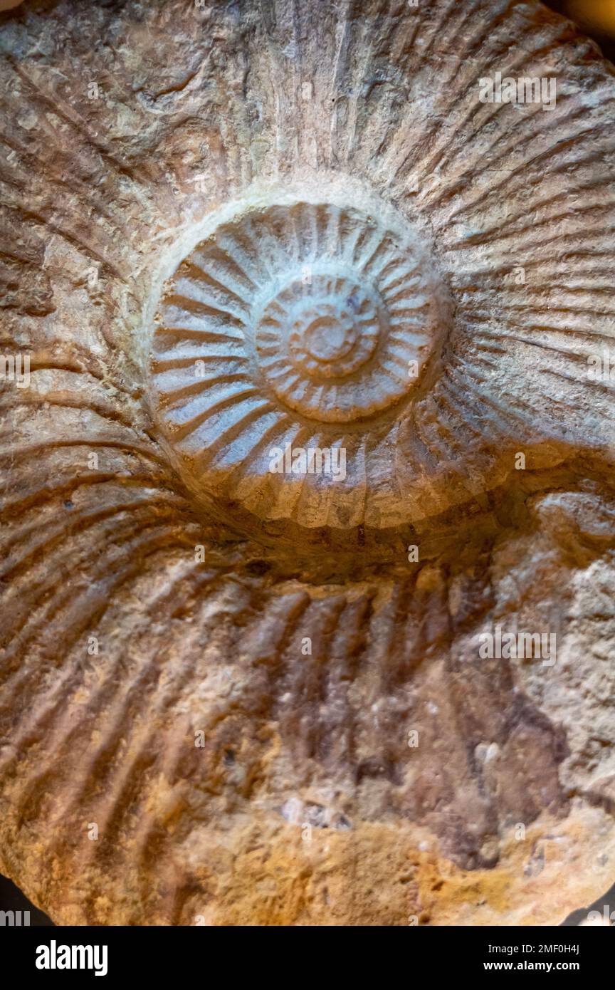 Geological time periods hi-res stock photography and images - Alamy