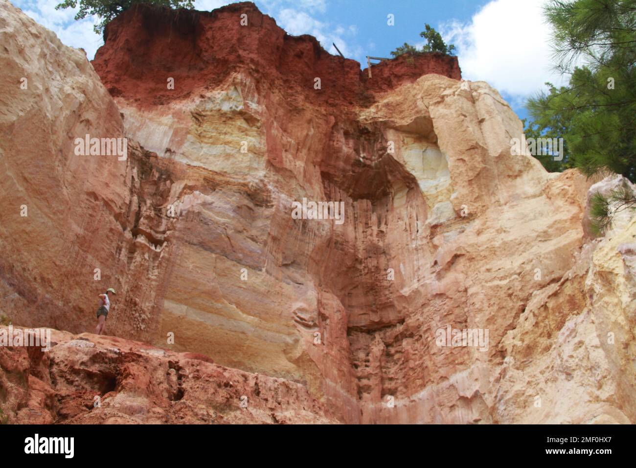 Providence Canyon in Georgia, USA. View of an eroded canyon wall from ...