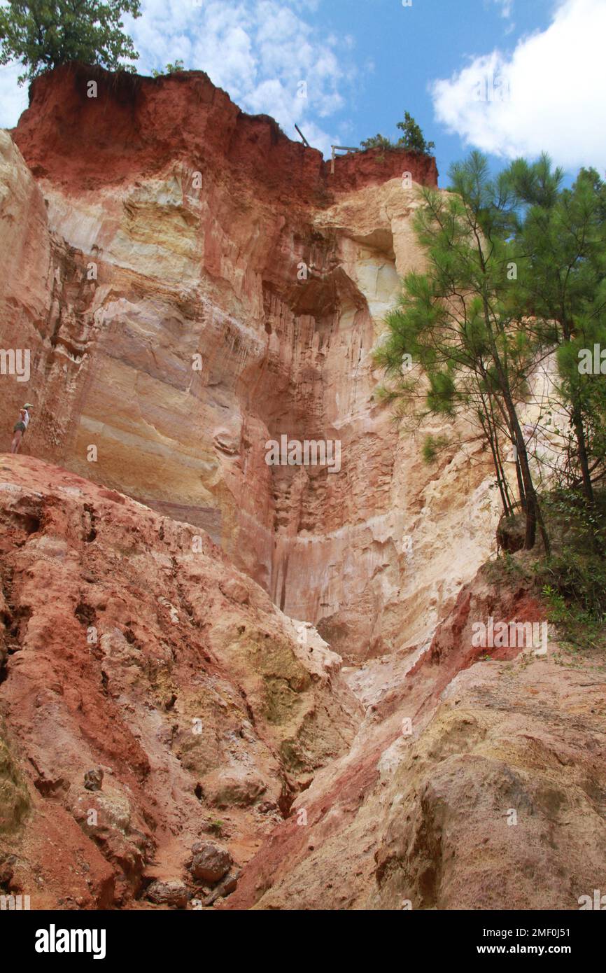 Providence Canyon in Georgia, USA. View of an eroded canyon wall from ...