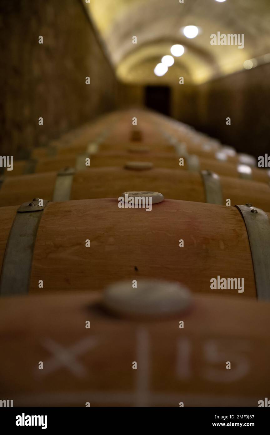 Old french oak wooden barrels in underground cellars for wine aging ...